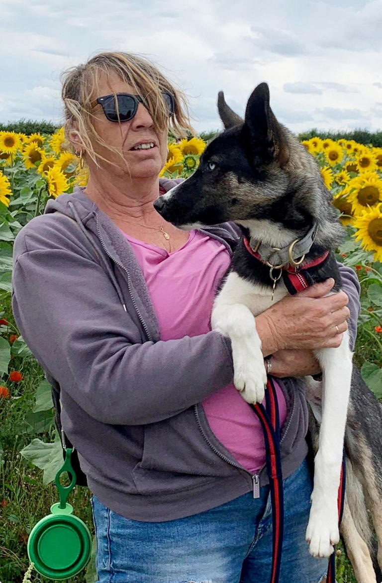 'It's like a horror film': Residents’ lives disrupted as winter fly ...