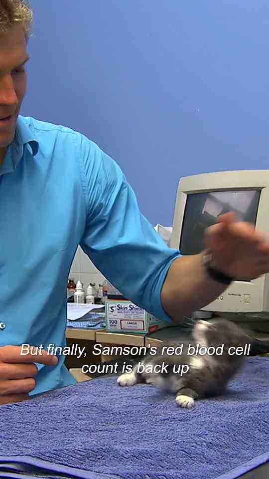 How a tiny bite can turn into a life-threatening illness