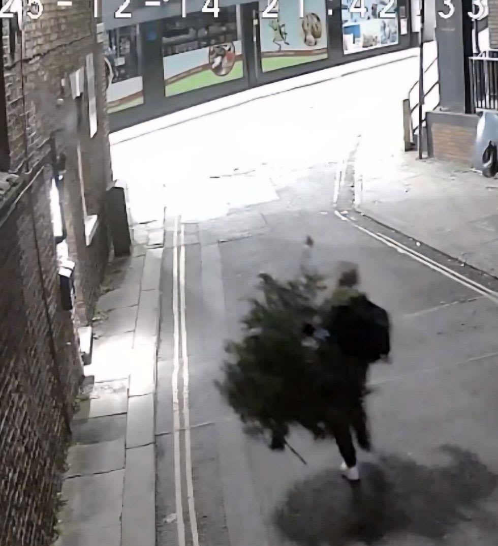 CCTV captures moment 'Grinch' brazenly steals Christmas tree from ...