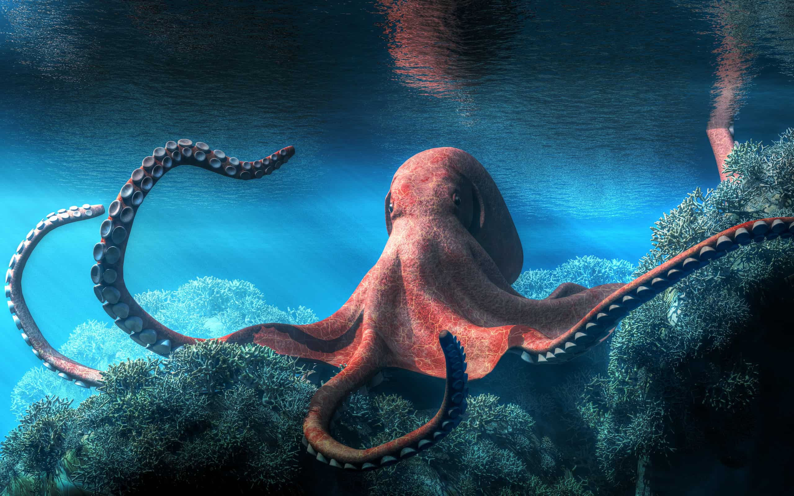 5 incredible animals that have more than one heart