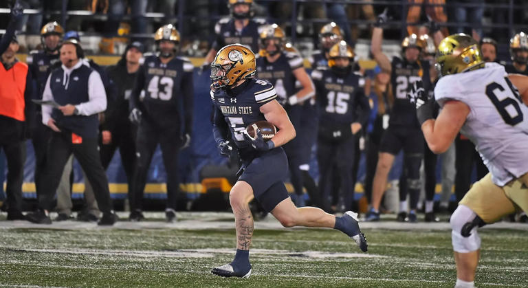 FCS semifinals – Montana Grizzlies @ Montana State Bobcats: How to ...