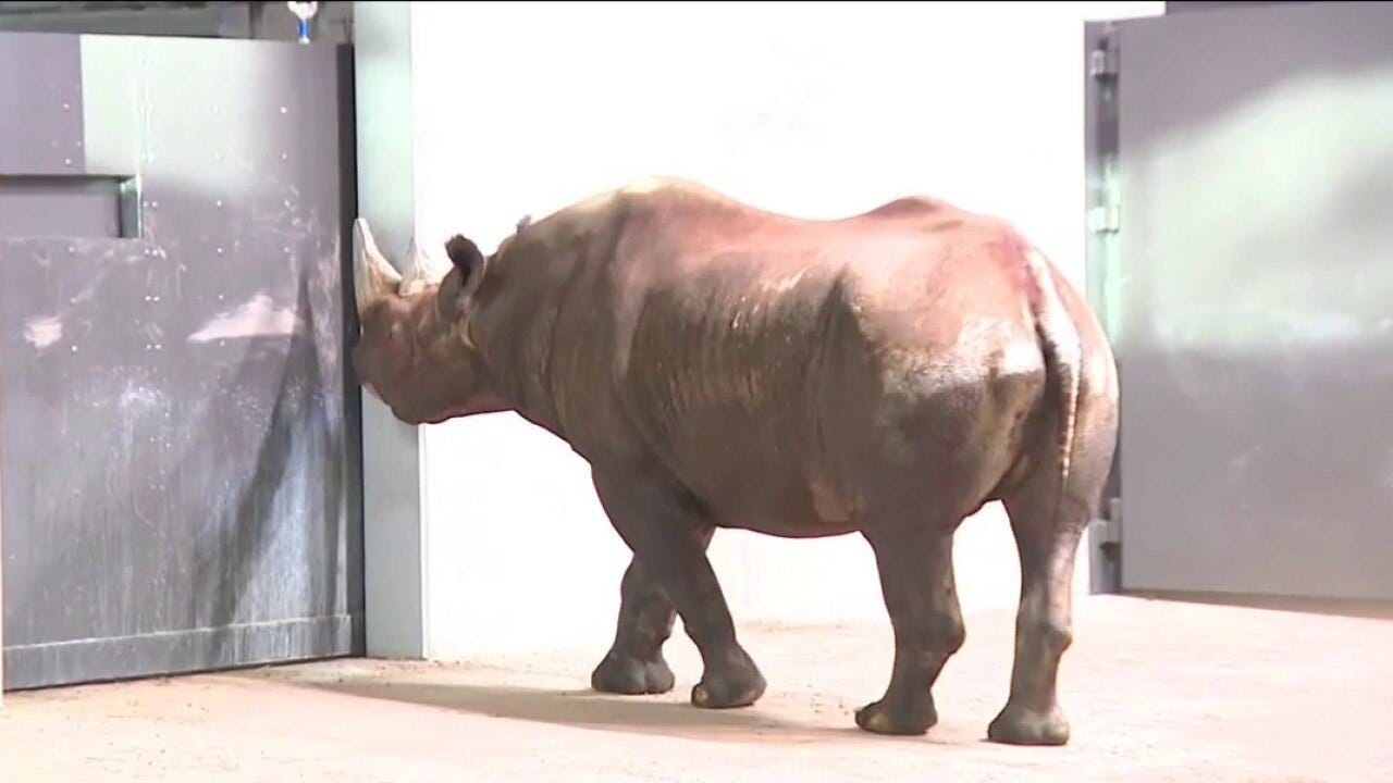 New attraction now open