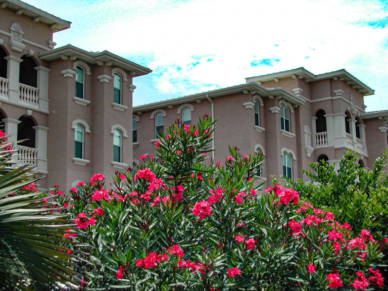 Protect your pooch from these 5 poisonous outdoor plants