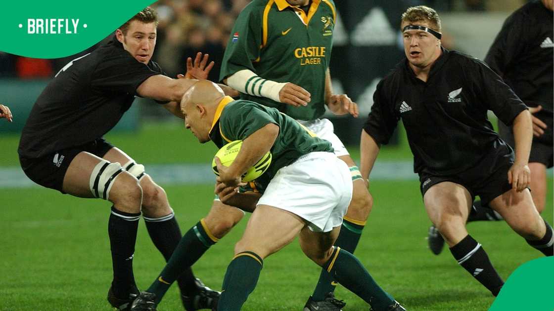 Retired Springboks, including Adriaan Richter, confront post-career ...