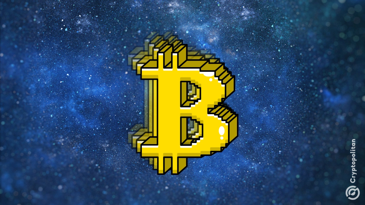 Solo bitcoin miner earns $271,000 using cheap rented hashpower