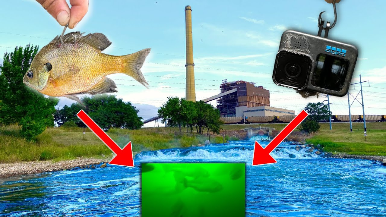 Dropped GoPro captures live sunfish and monster catches