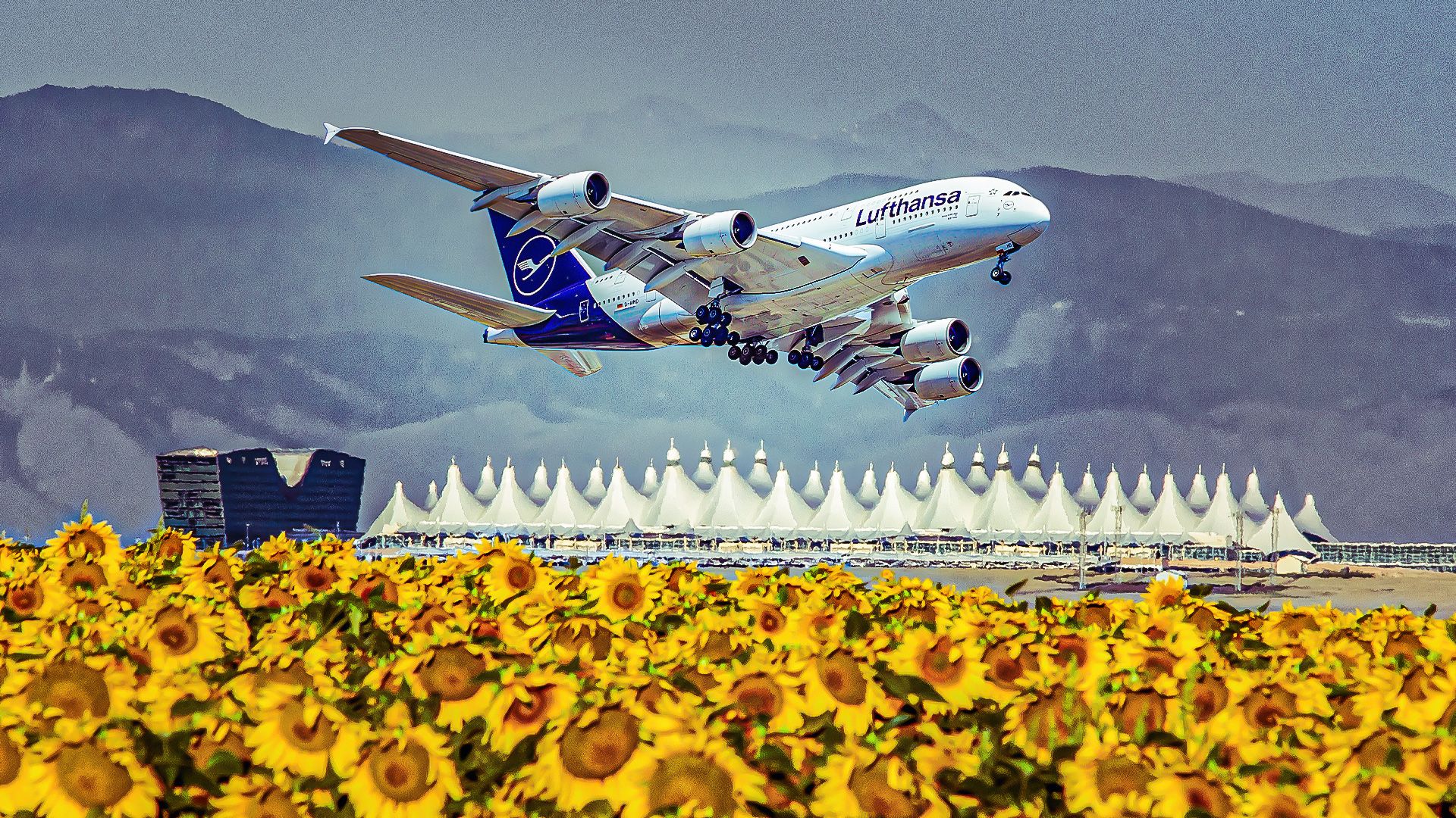 Why is Denver home to some of the longest runways in the world?