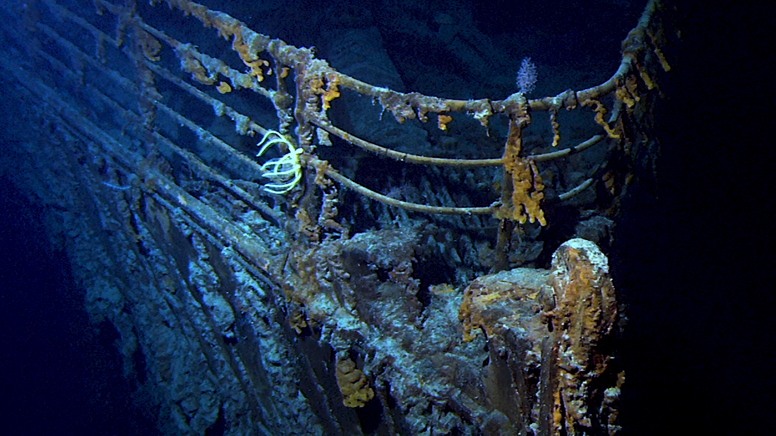 What Titanic’s recovered artifacts reveal about the disaster