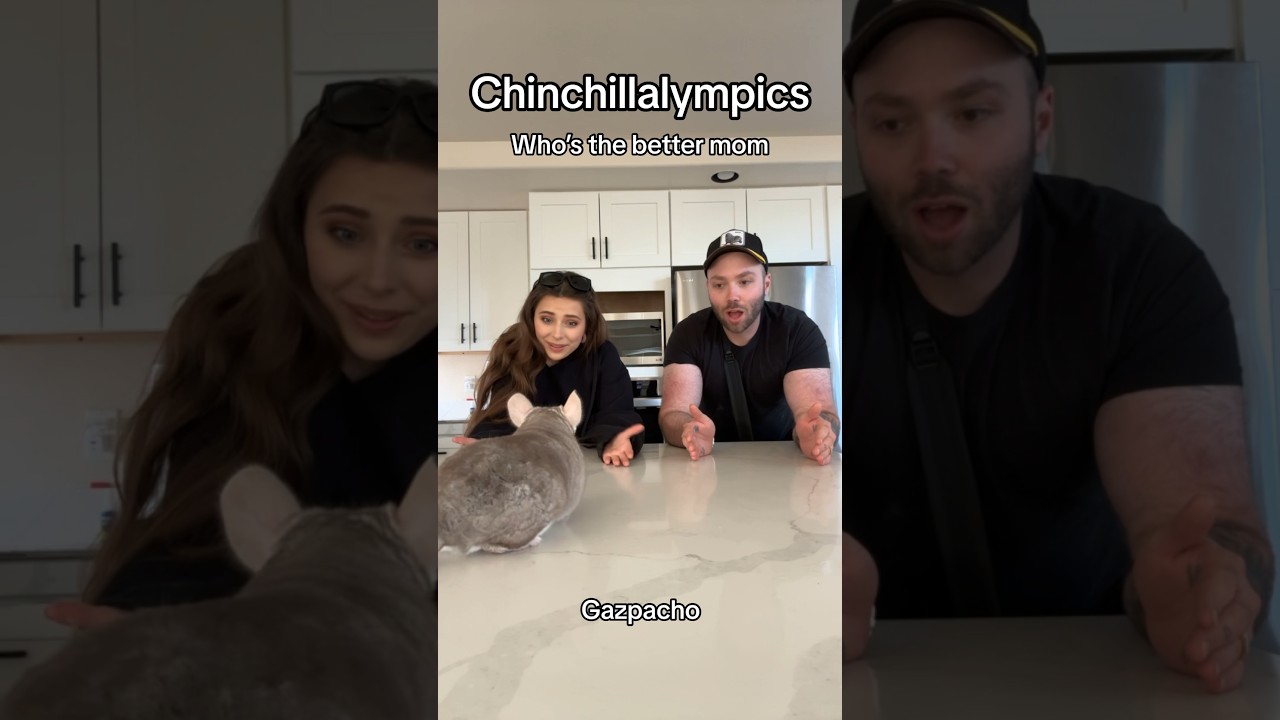 Watch an adorable chinchilla make the final winning choice
