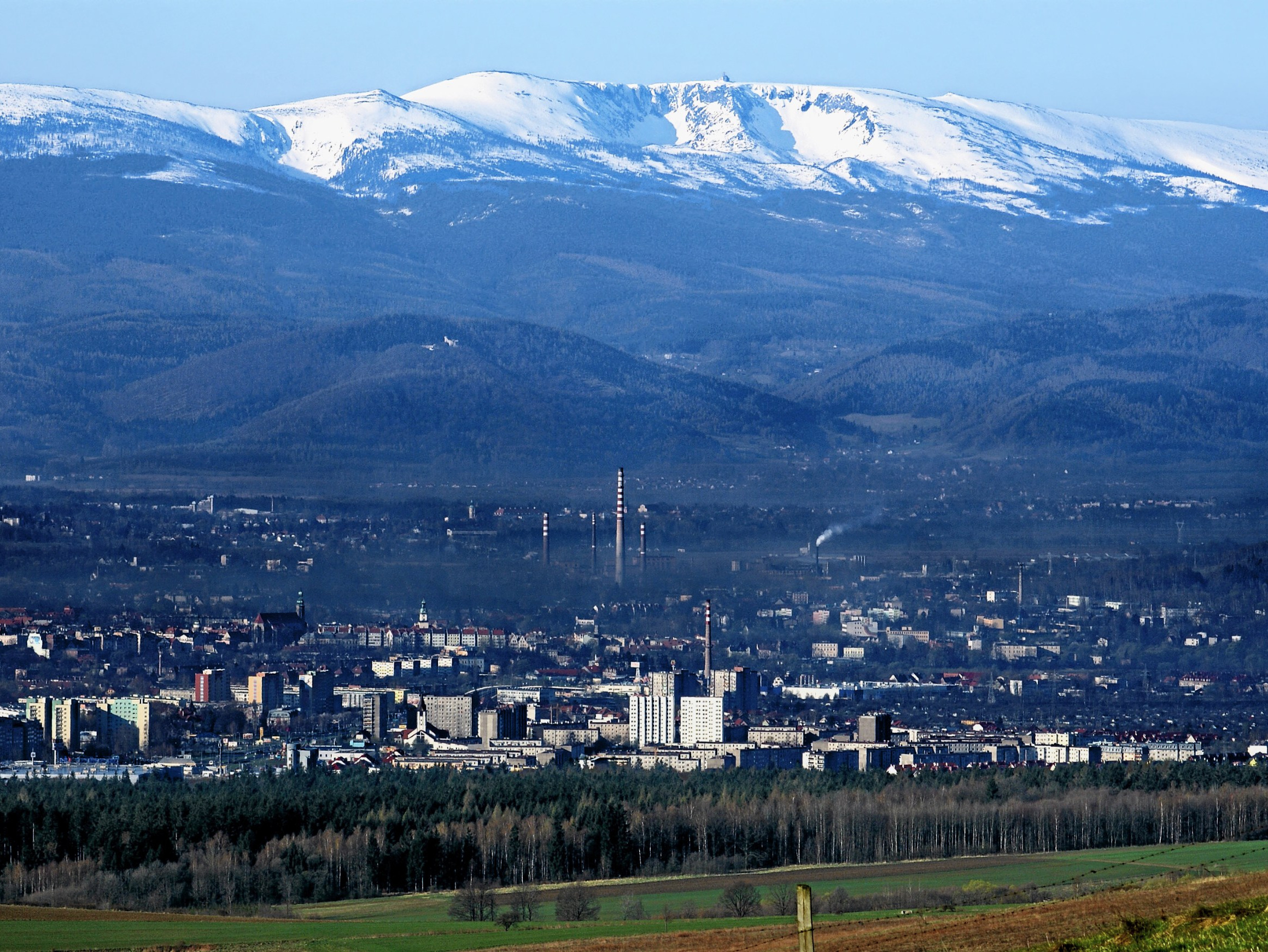 Szokujące informacje ws. zbrodni w Jeleniej Górze. Rodzice uczniów zabrali głos