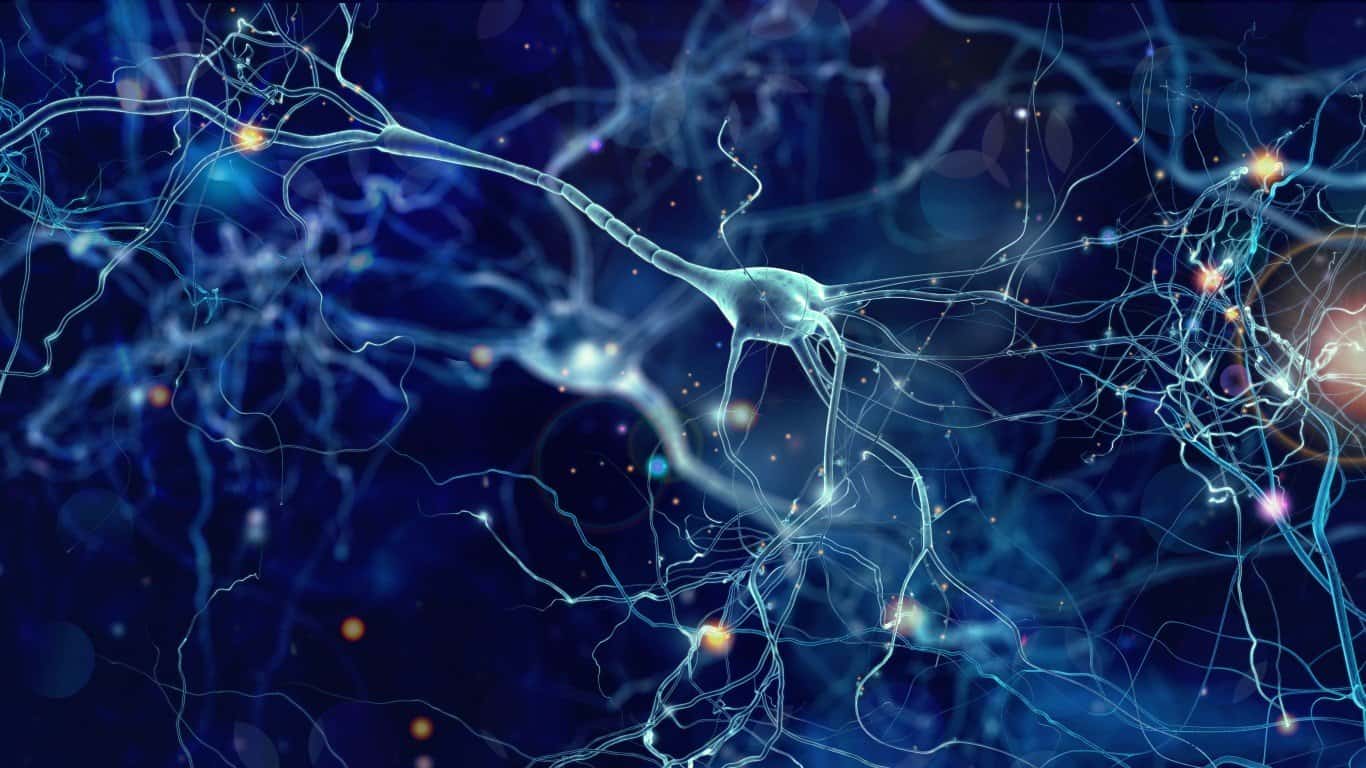 35 fun and weird facts about how your body works