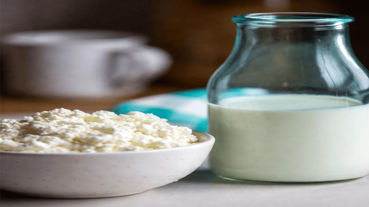 Cottage cheese vs. milk: Which one is better for stronger bones?