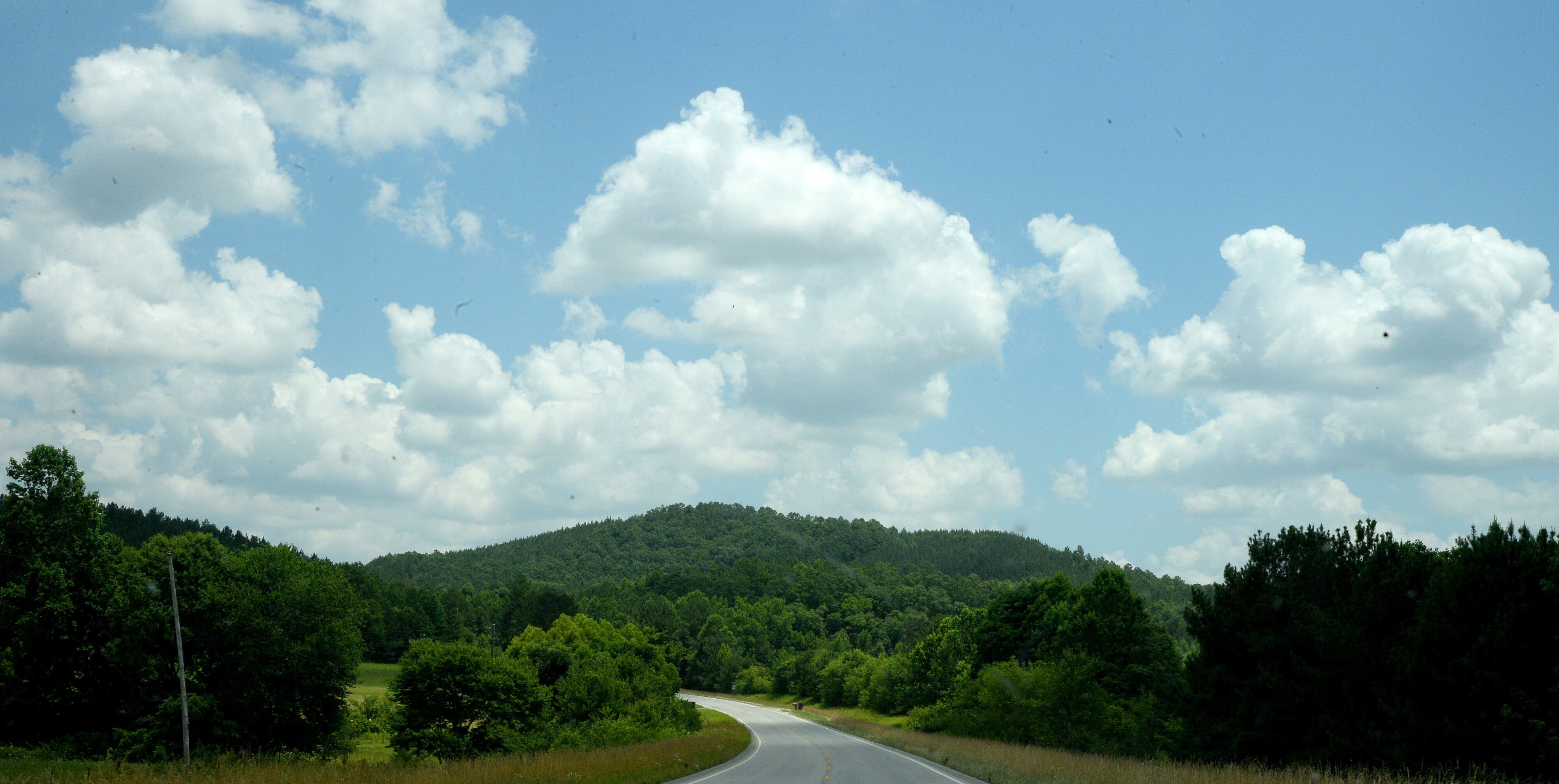 More than 10,000 acres of endangered forest between Alabama and Georgia ...