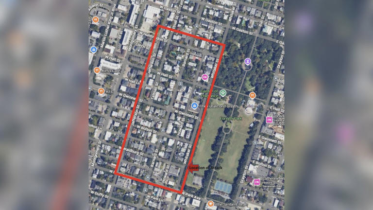FBI, SPD request doorbell camera footage after Forsyth Park acid attack