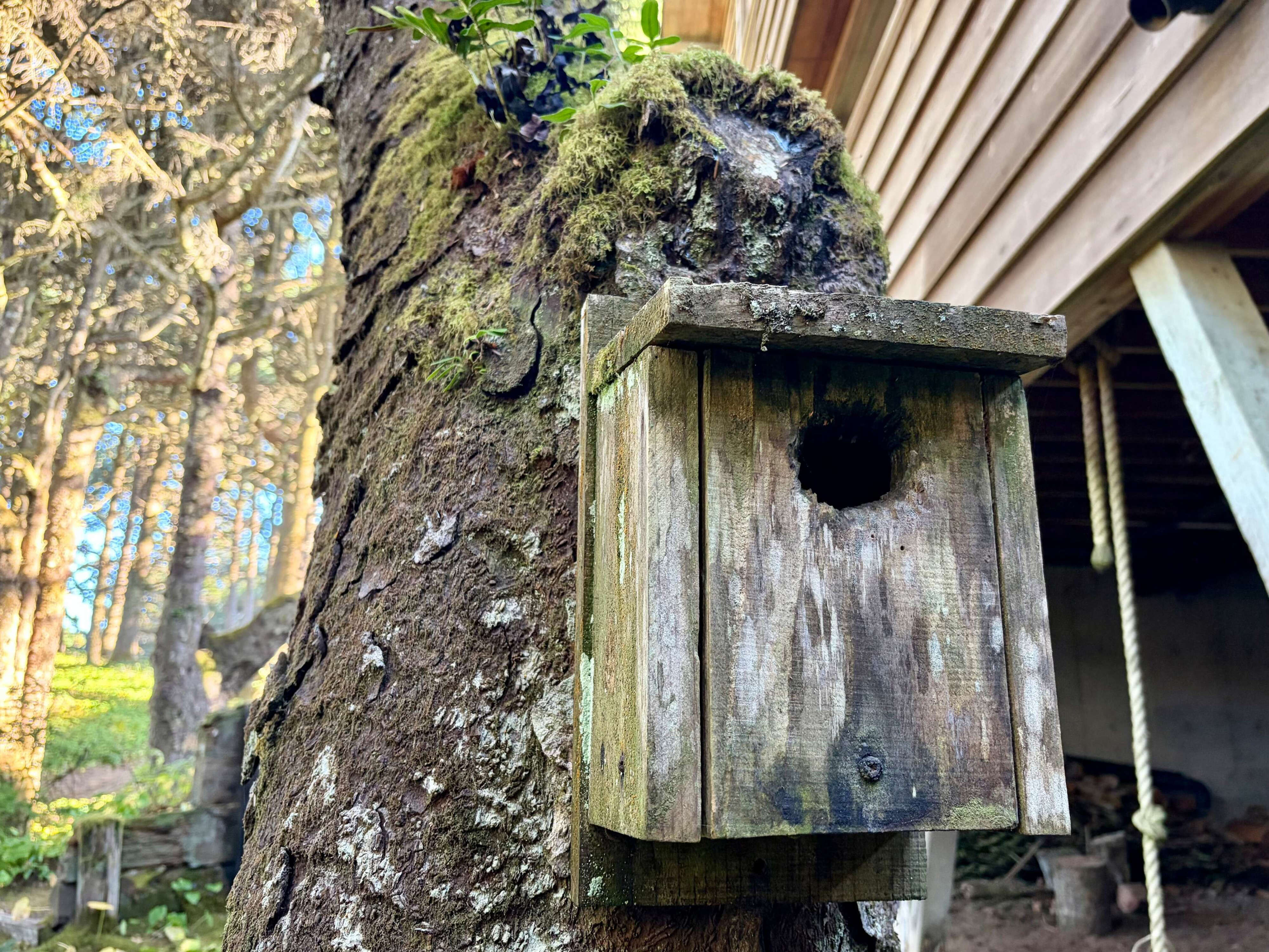 4 generations have celebrated holidays at this Oregon family’s ...
