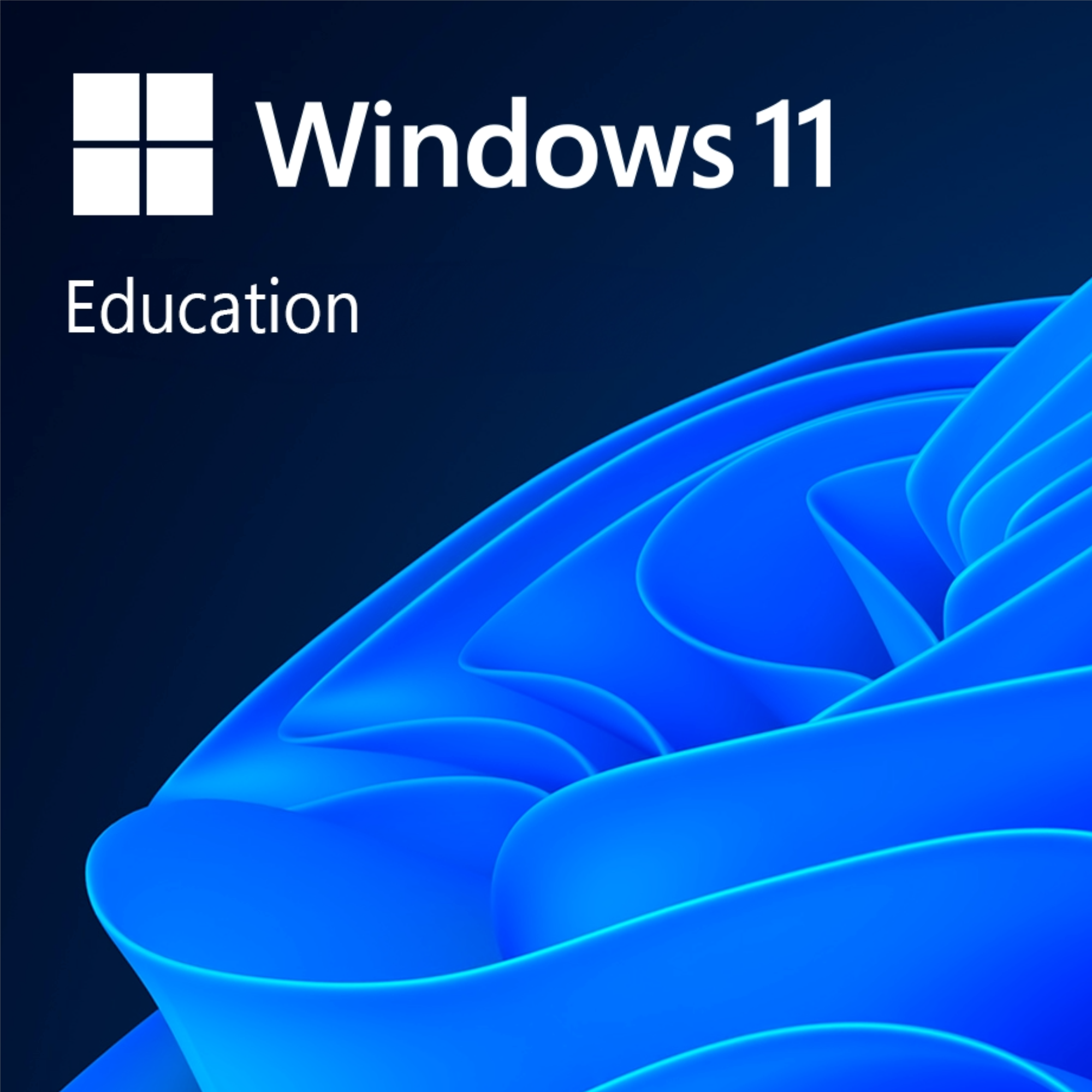 Windows 11: el software esencial que todo estudiante debe tener