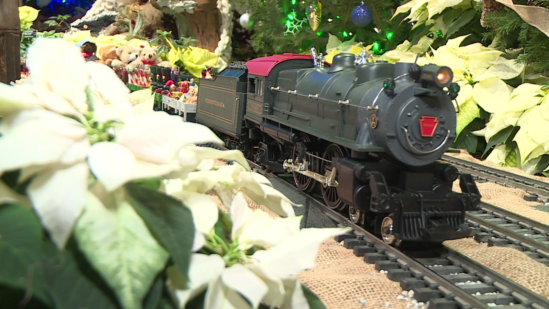 Olbrich Holiday Express winds through winter wonderland