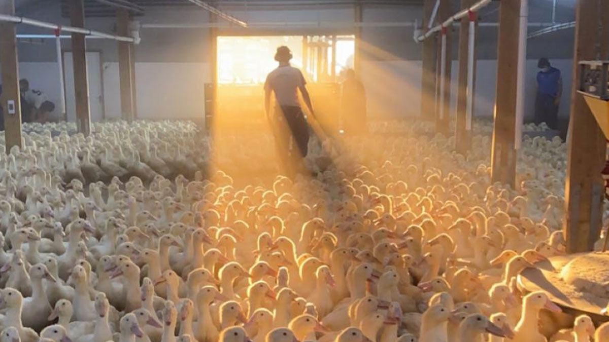 58 fascinating behind-the-scenes photos people took at work that were ...