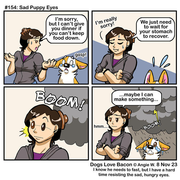 29 comics about the funny reality of being a dog owner