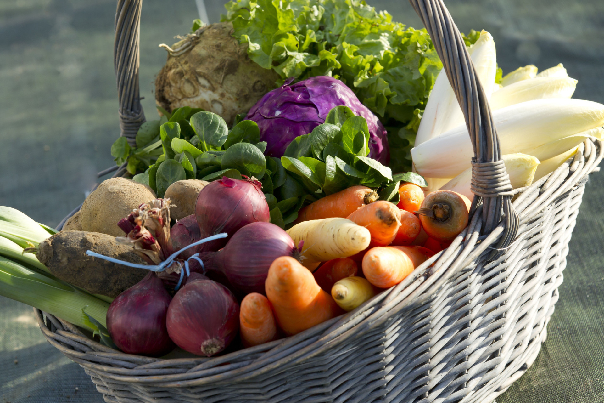 The most popular types of common vegetables