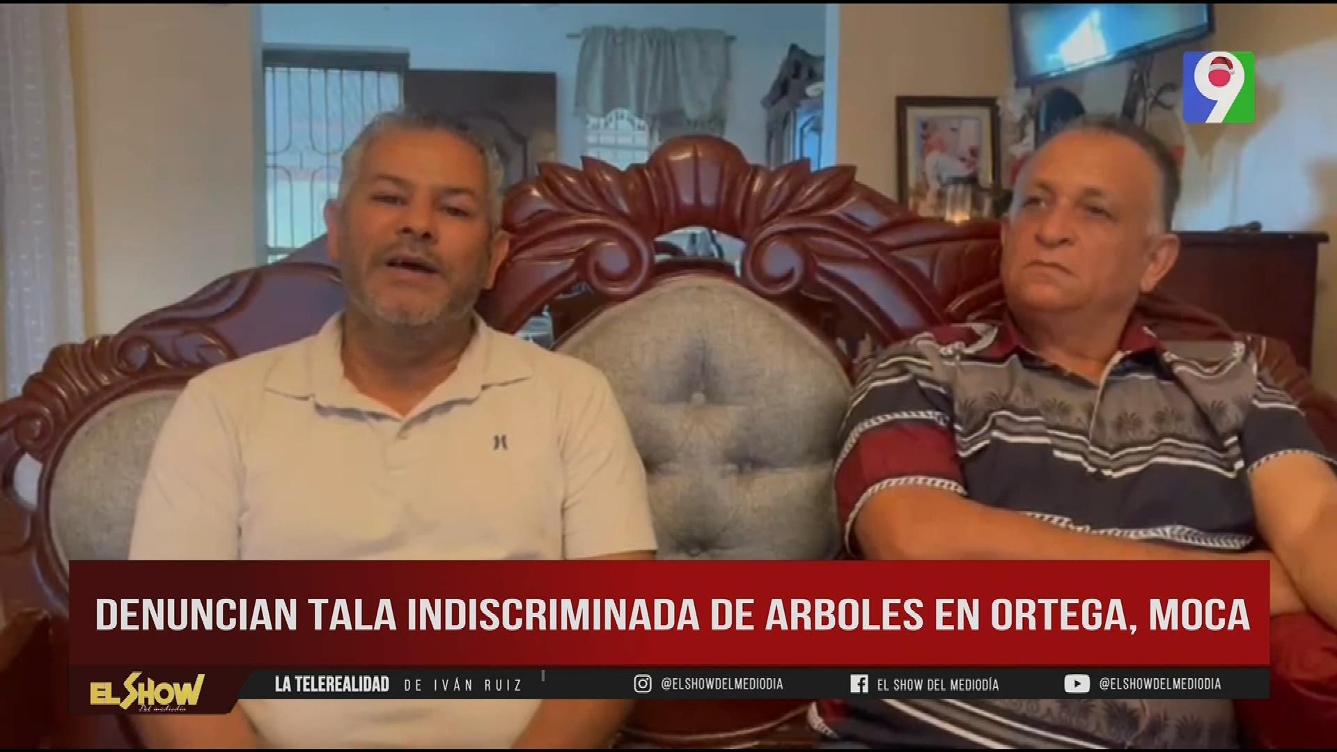 Regidores aclaran situación de tala de árboles en Moca | ESM
