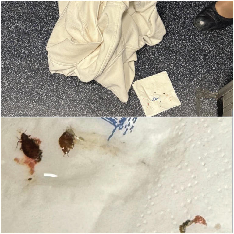 Family ambushed by bed bugs aboard flight sues over ruined trip