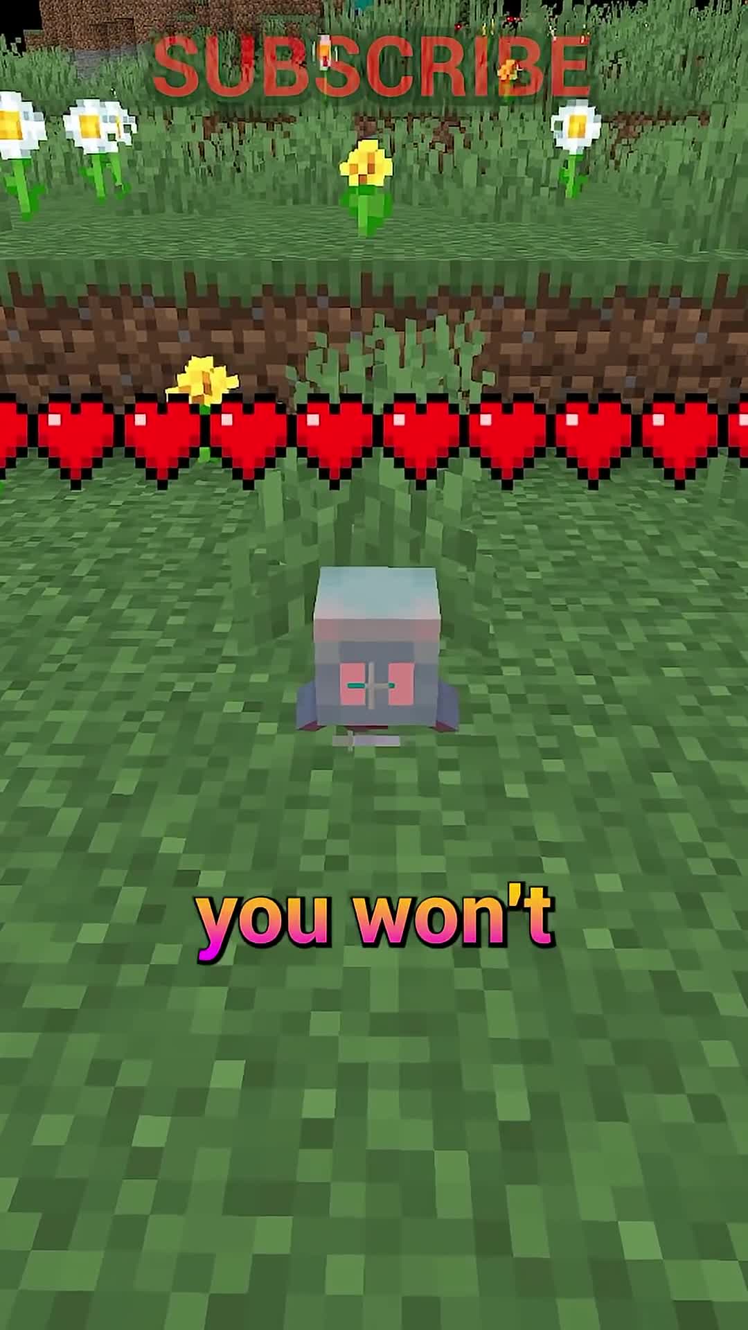 the allay ISNT USELESS