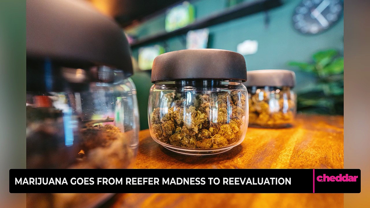 Marijuana goes from reefer madness to reevaluation
