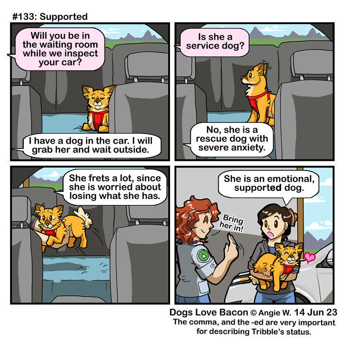 29 comics about the funny reality of being a dog owner