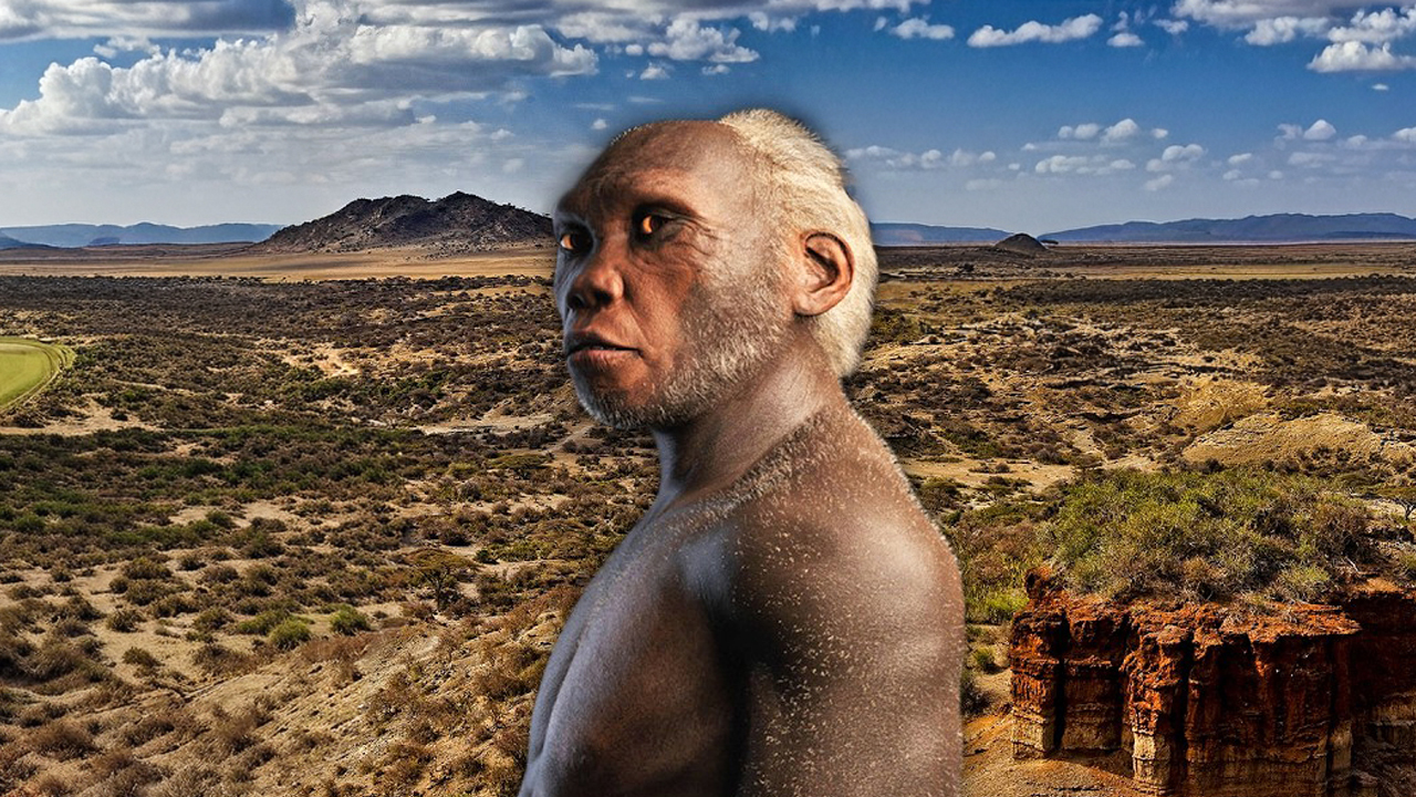 Homo habilis: The first human species or an australopithecine?