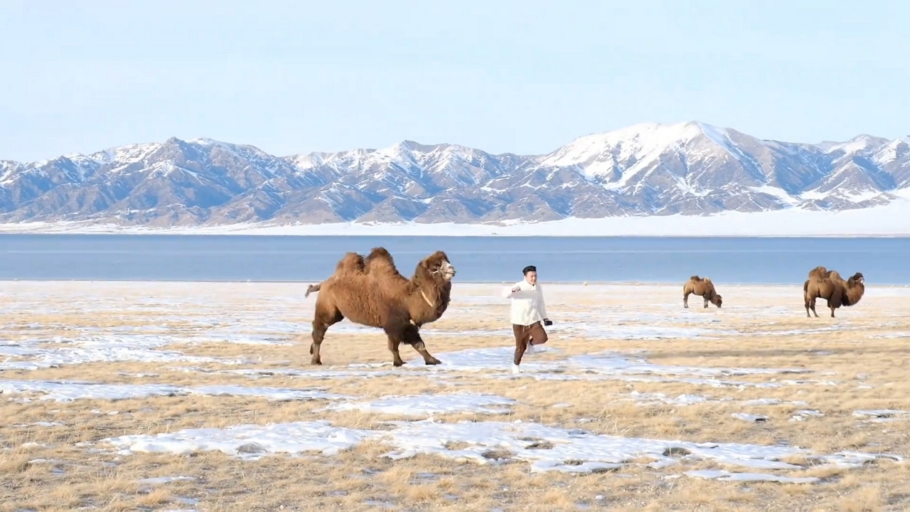 Man chased by camel across snowy landscape in Xinjiang, China