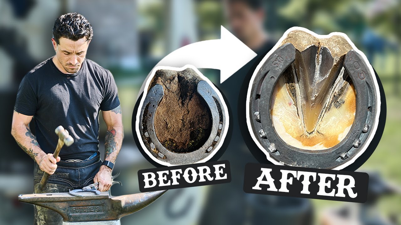Restoring a hoof: The ultimate ASMR experience