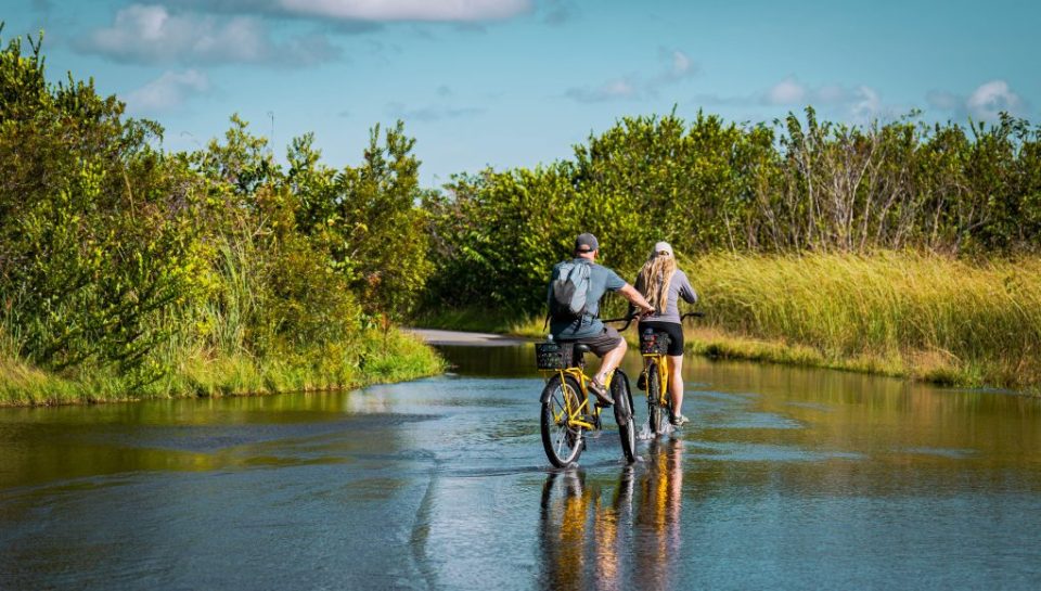 'No one's going to be able to enjoy this beauty': How park flooding ...