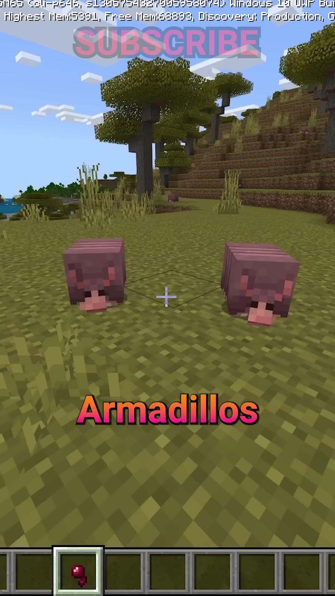 Everything about the armadillo in Minecraft! #armadillo #mobvote