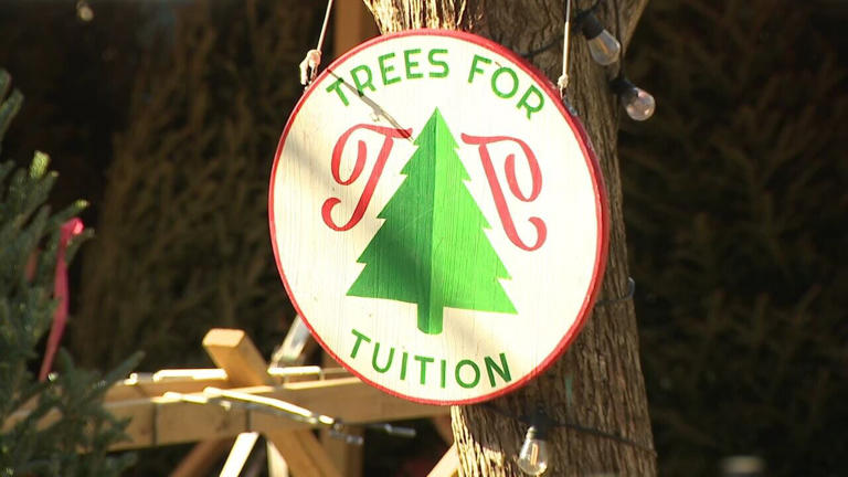 Trees for Tuition changing lives one Christmas tree at a time