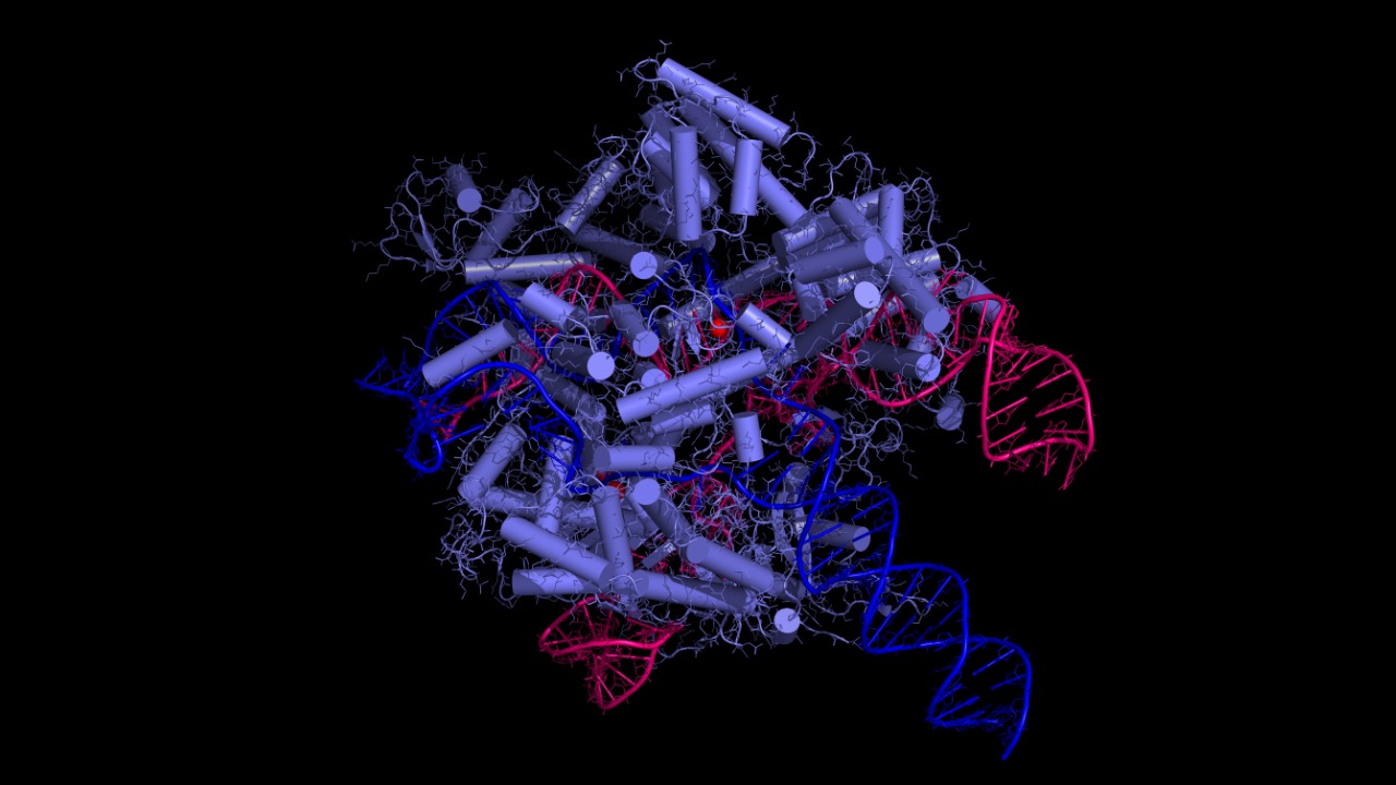 CRISPR researchers revived an ancient gene that could block disease
