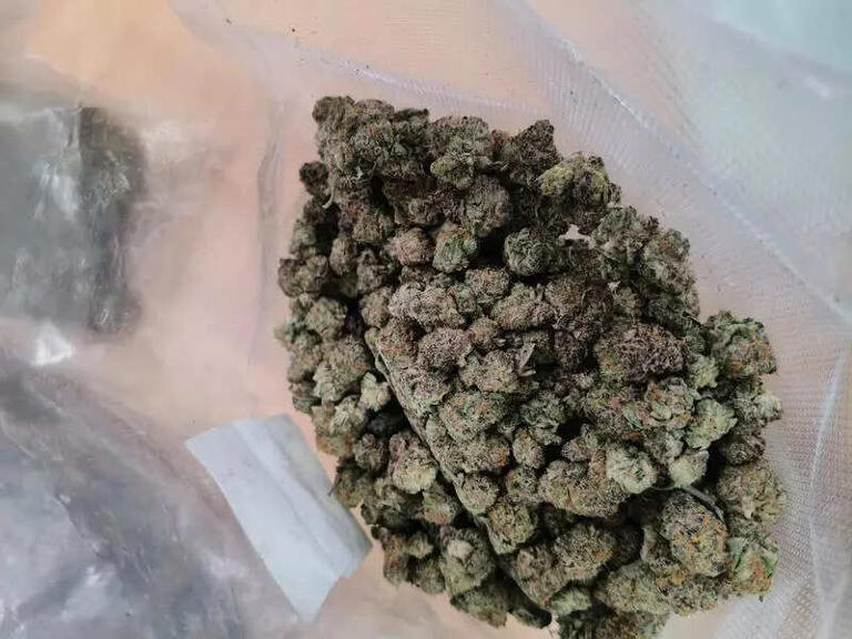 Weed from Thailand worth Rs 1 cr intercepted at foreign post office