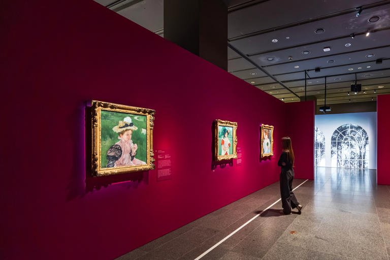 Construction for Six Flags’ record-breaking coaster Tormenta Rampaging ...