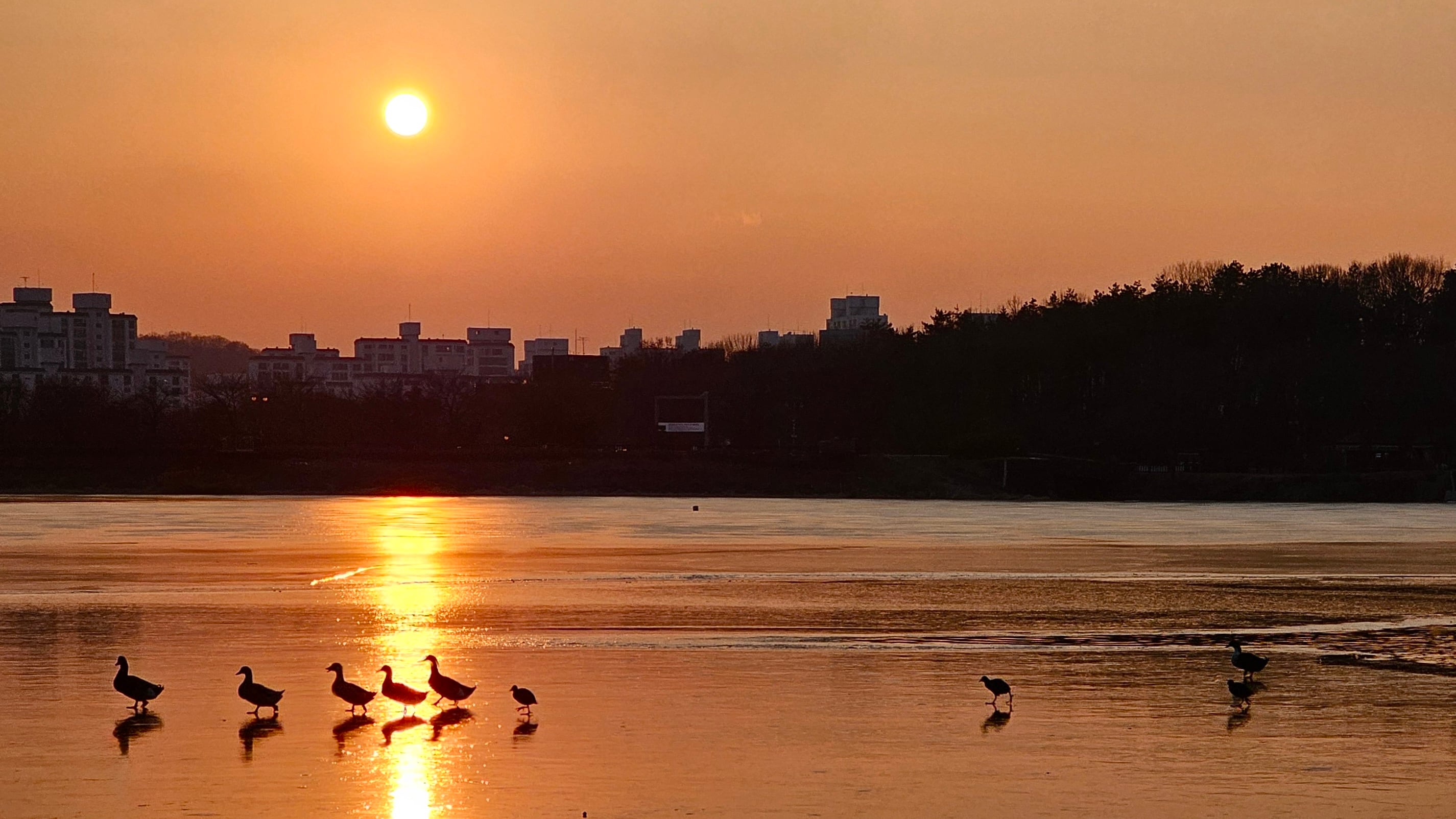 Rising single households face winter loneliness crisis