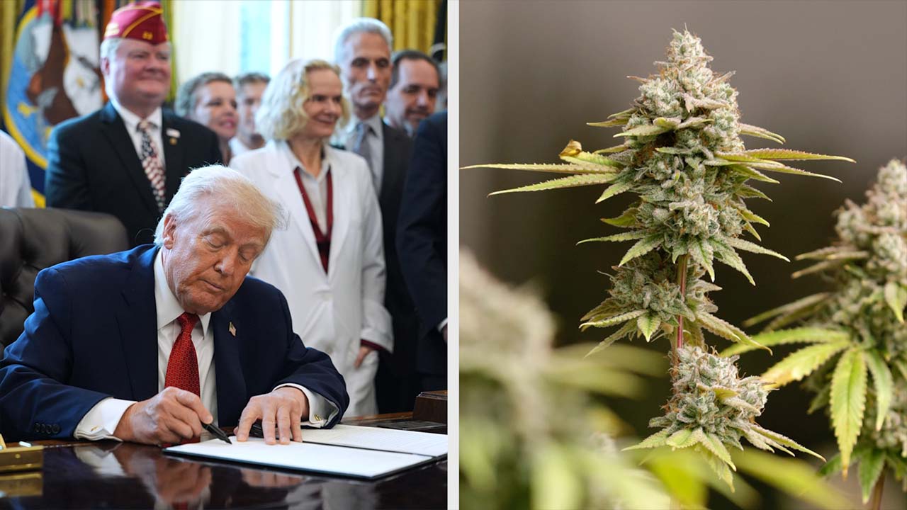 'It's tremendous': President Trump signs executive order to ease ...