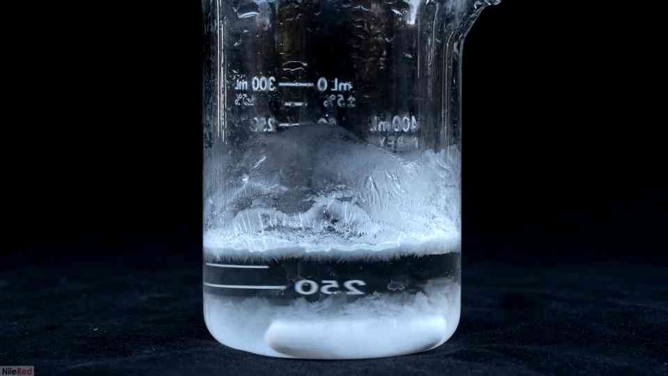 Making trimethylamine - the stench of rotting fish