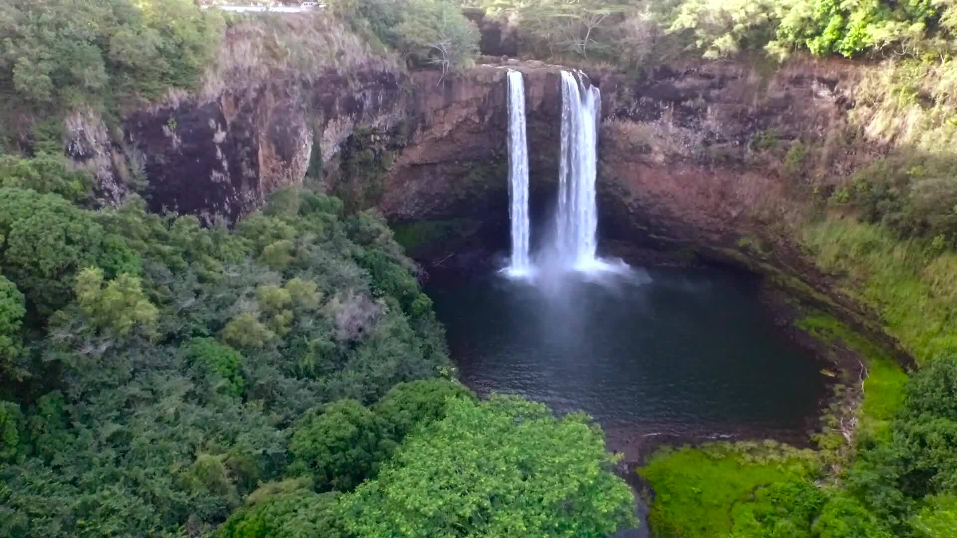 Honeycreepers are some of the coolest birds around — here’s why ...