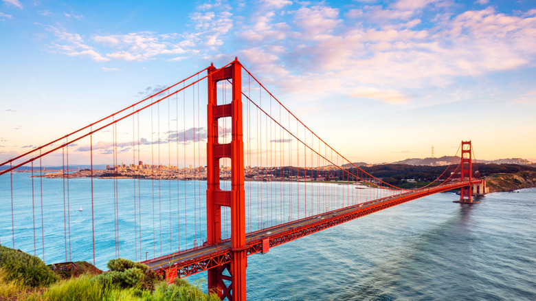 San Francisco's 5 best winter activities, according to travelers