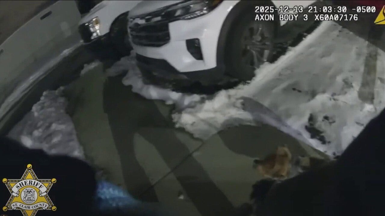 Dog fatally shot by St. Clair County sheriff's deputies