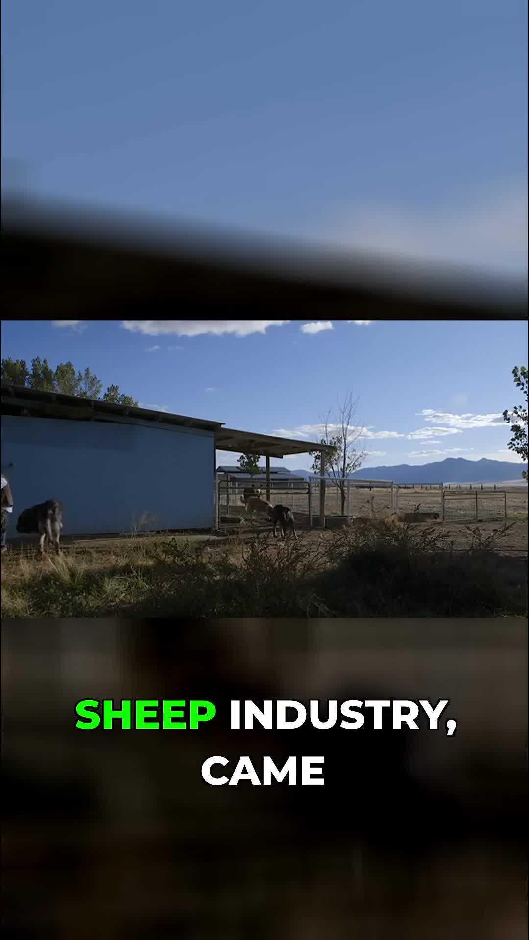 LGD industry shift: Out with 'hands-off' rearing!