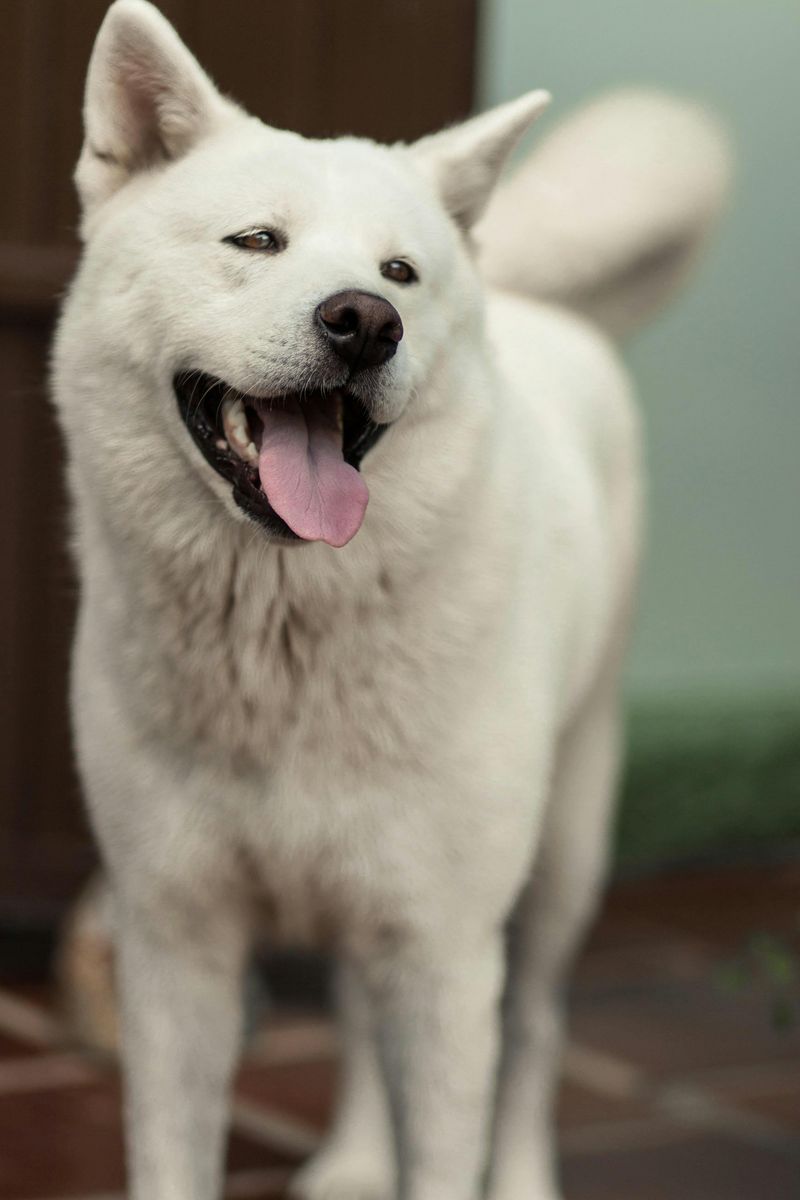 14 breeds that often misread "friendly" human body language – the safer ...