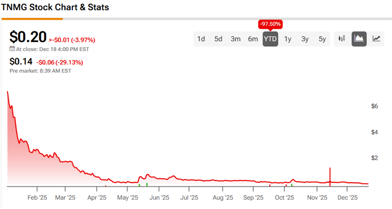 Why is TNL Mediagene stock (TNMG) down today?