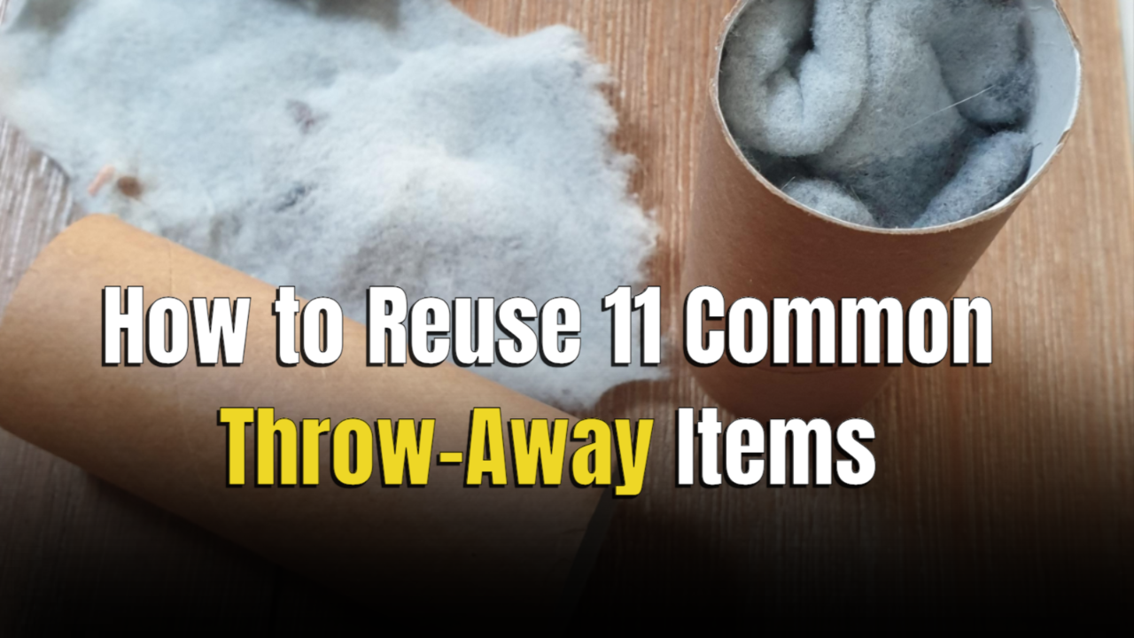 11 things you should reuse instead of throwing away