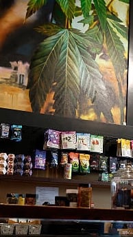 What the reclassification of marijuana could mean for the US