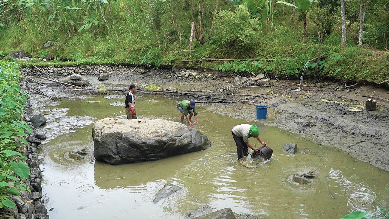 Renovasi kolam: tips dan triknya!
